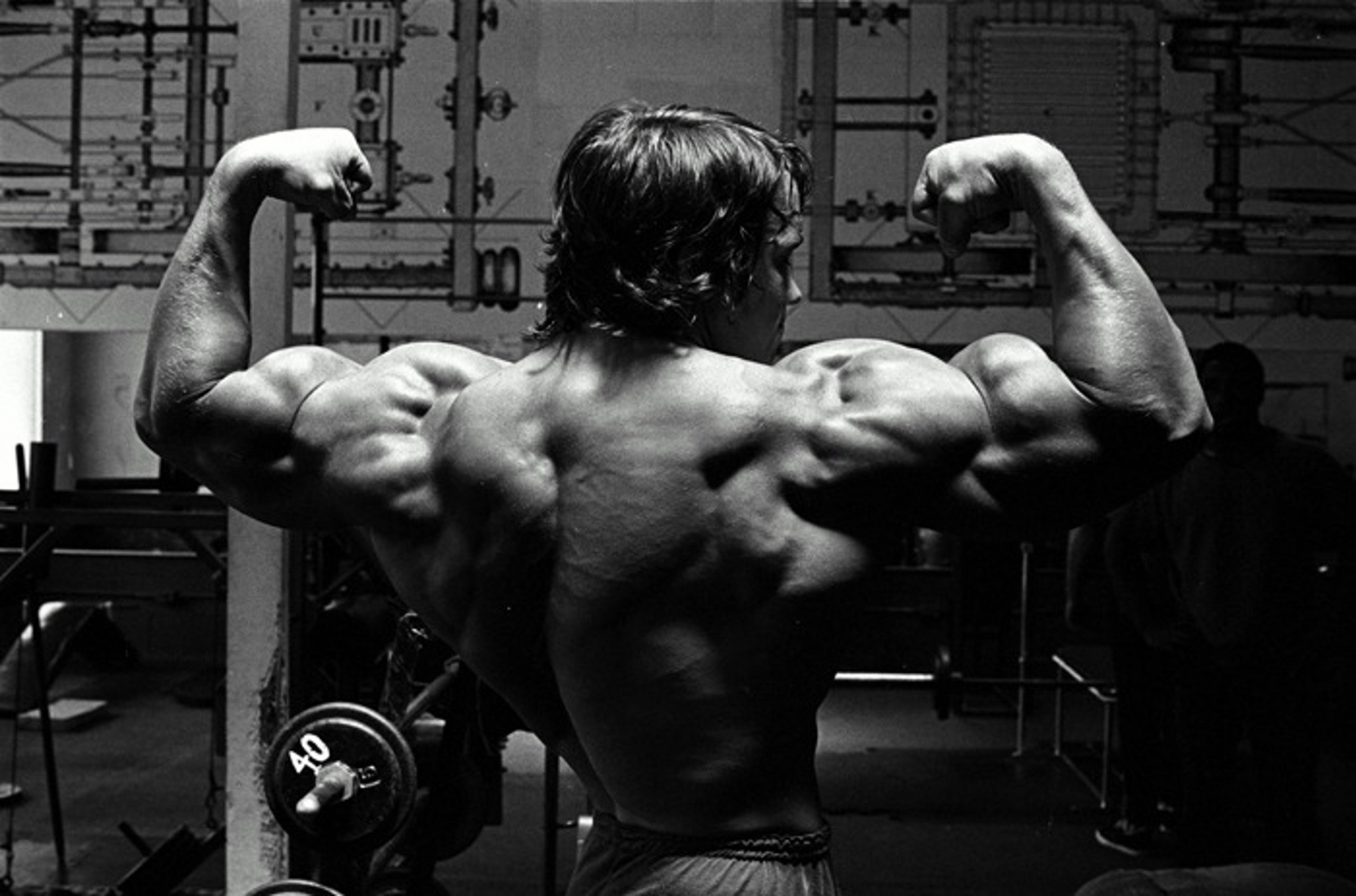 Bodybuilder Wallpaper Pictures Wallpaperset