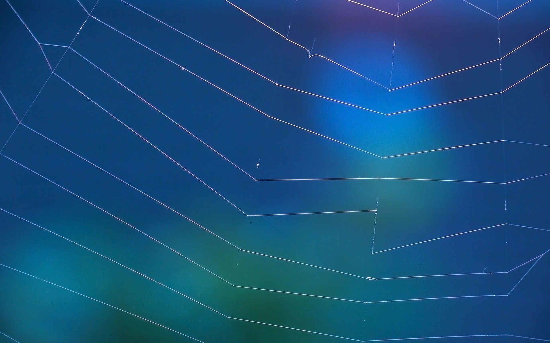 World Wide Web Wallpaper (66+ pictures) - WallpaperSet