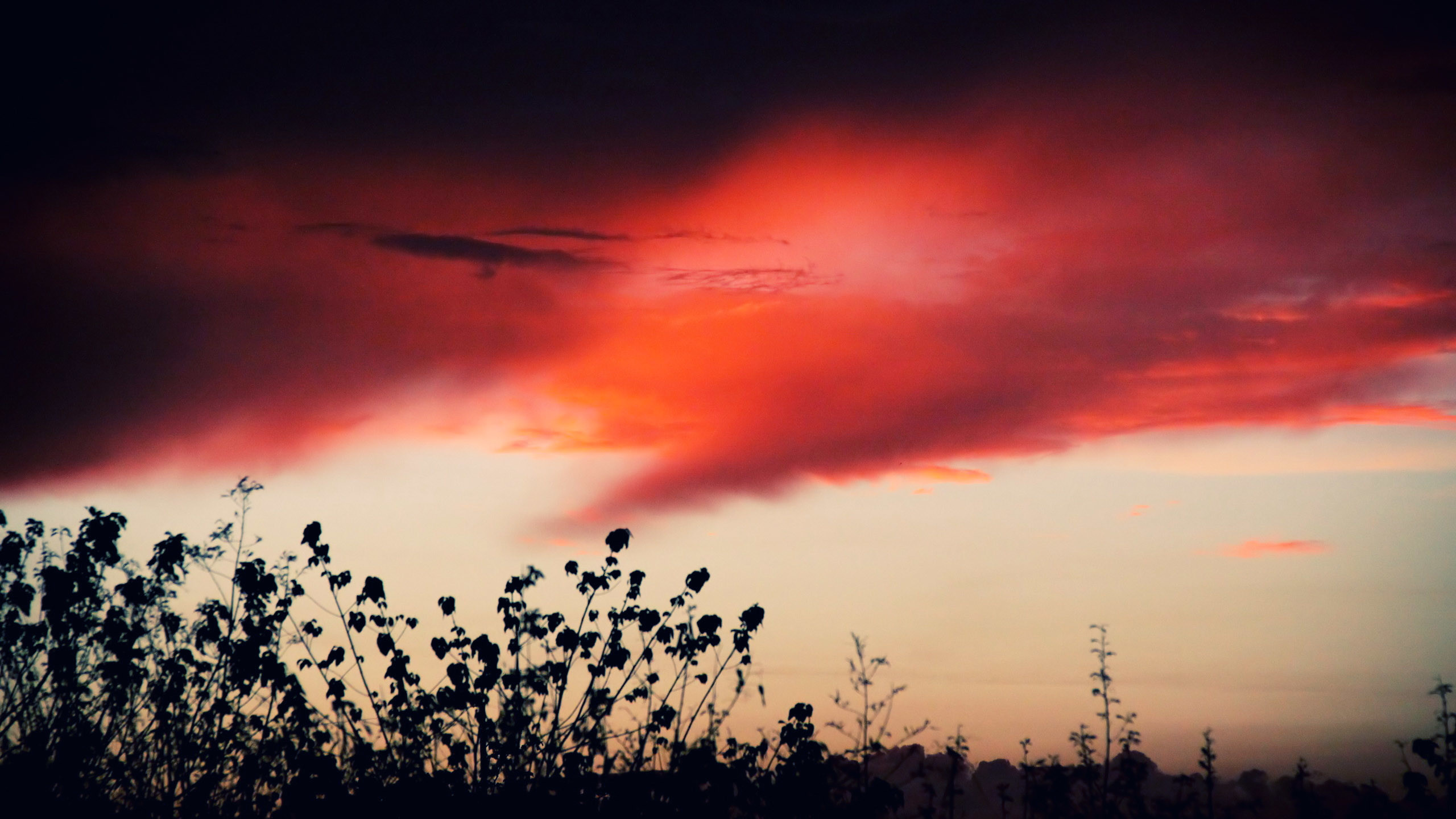 Background Themes (56+ pictures) - WallpaperSet