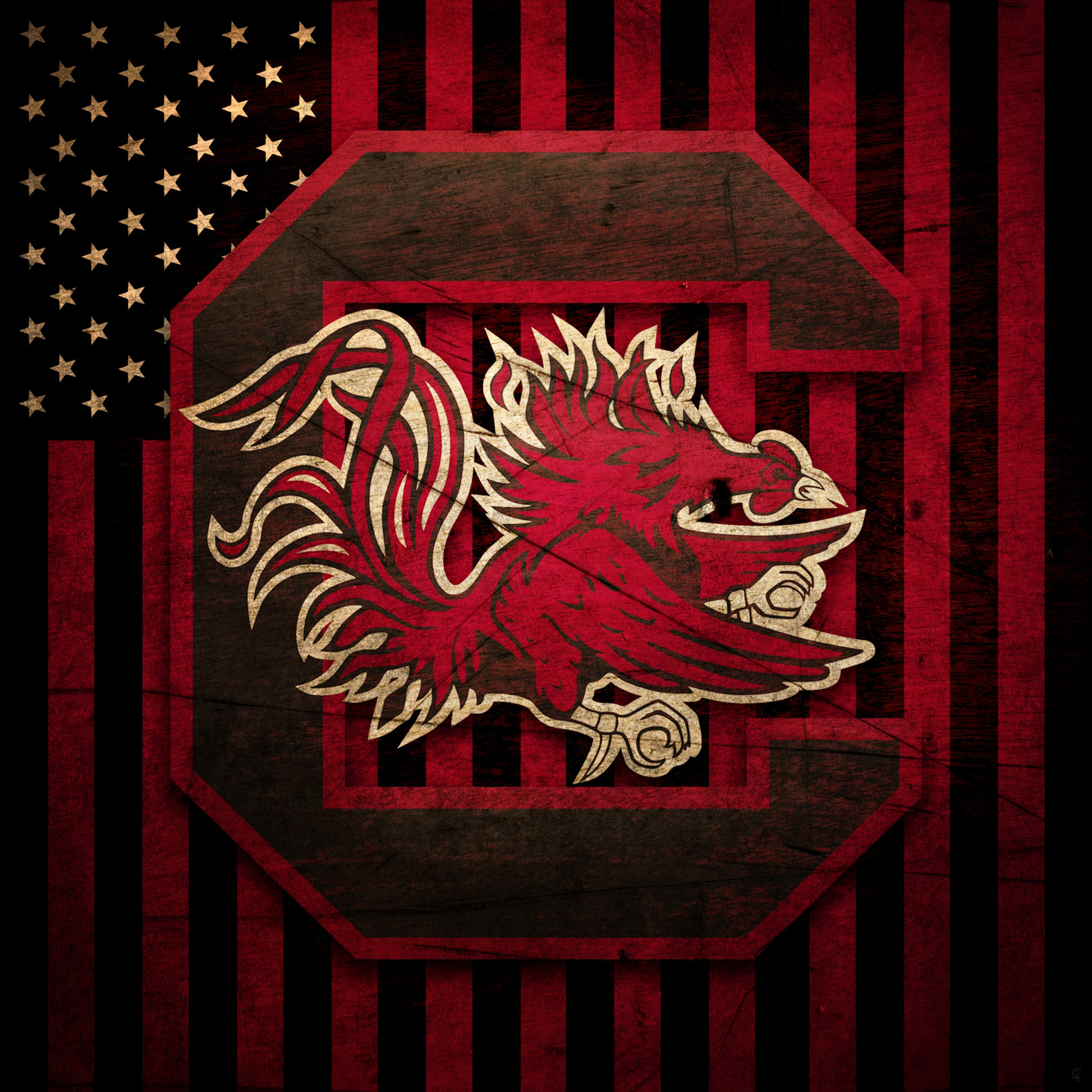 Gamecock Wallpaper 64 Pictures Gamecock Wallpaper 64 Pictures