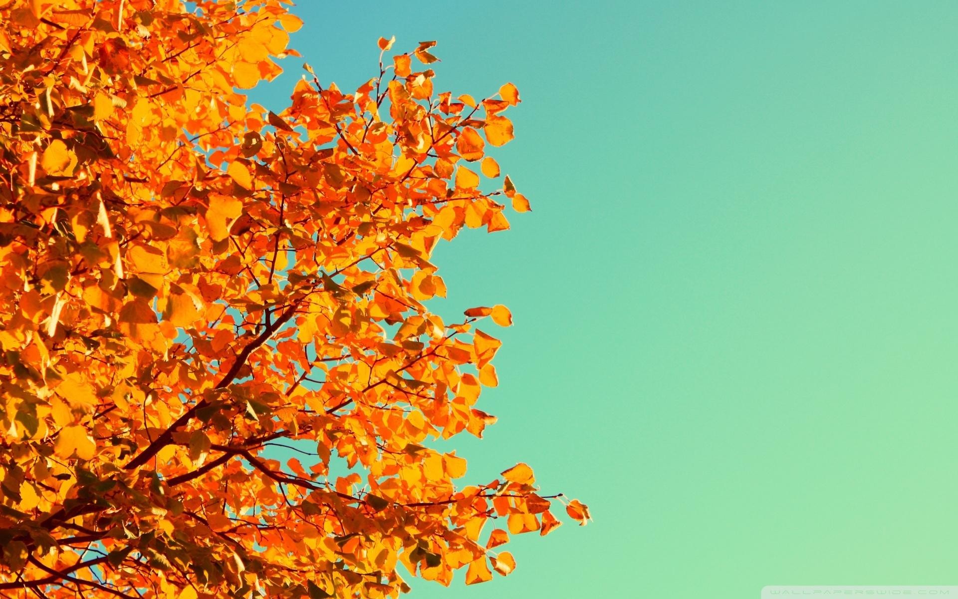 Fall Picture Backgrounds (73+ pictures) - WallpaperSet