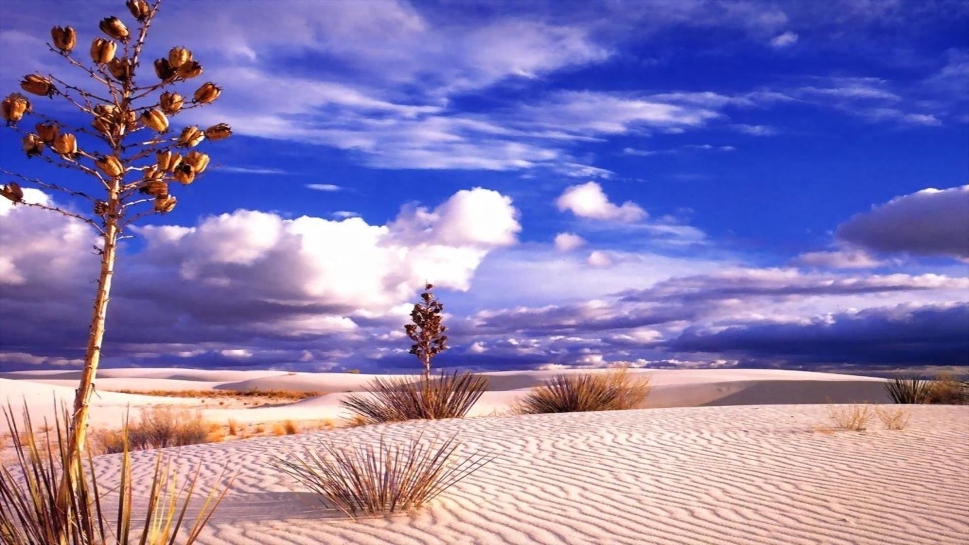 Wallpaper Themes 74 Pictures WallpaperSet
