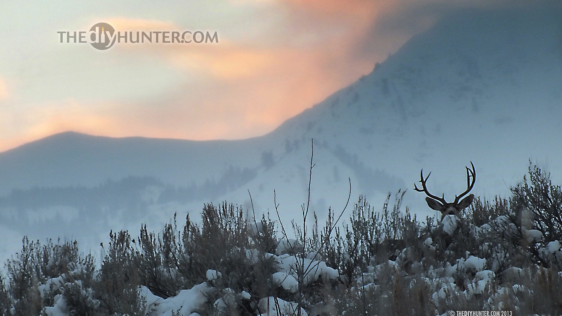 Hunter Hunter Wallpapers (68+ pictures) - WallpaperSet