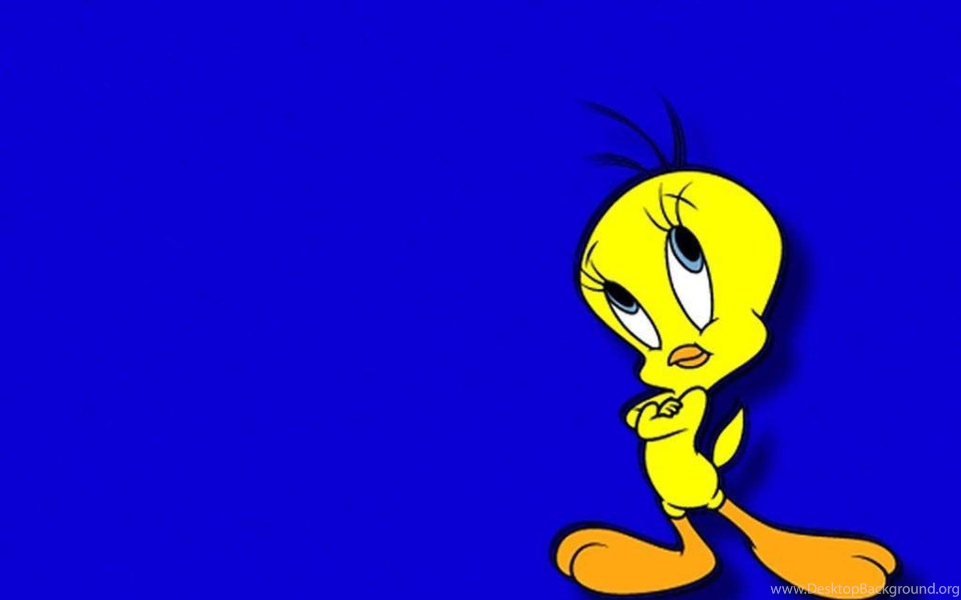 Tweety Bird Wallpaper (60+ pictures) - WallpaperSet
