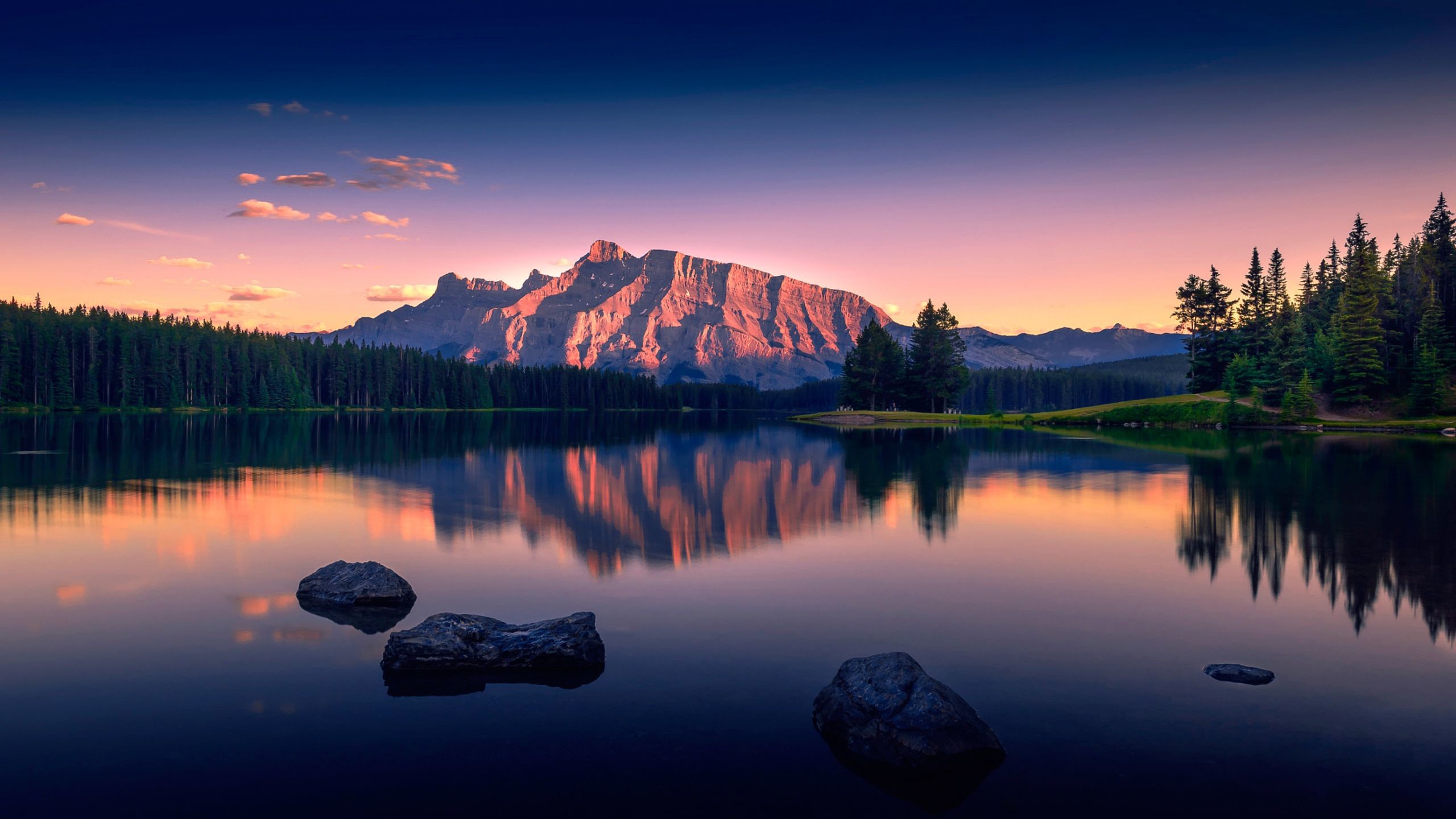 Wallpaper 2560 X 1440 91 Pictures 
