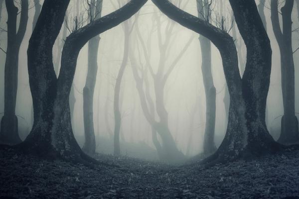 Awesome HD Wallpapers and Backgrounds on WallpaperSet